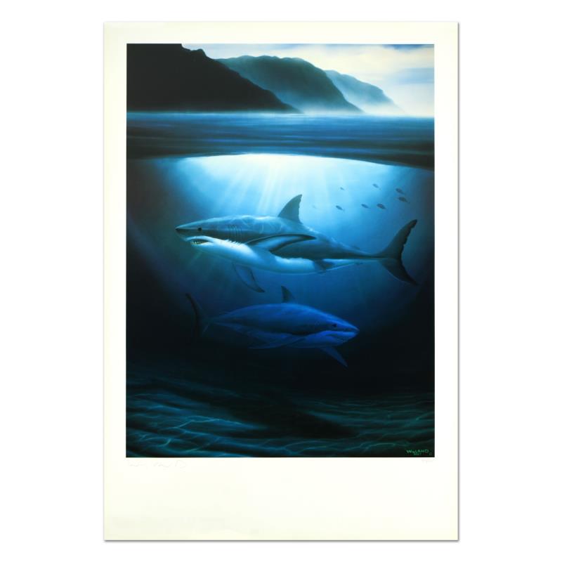 Great White Sharks by Wyland For Auction - 233027 | Qart.com